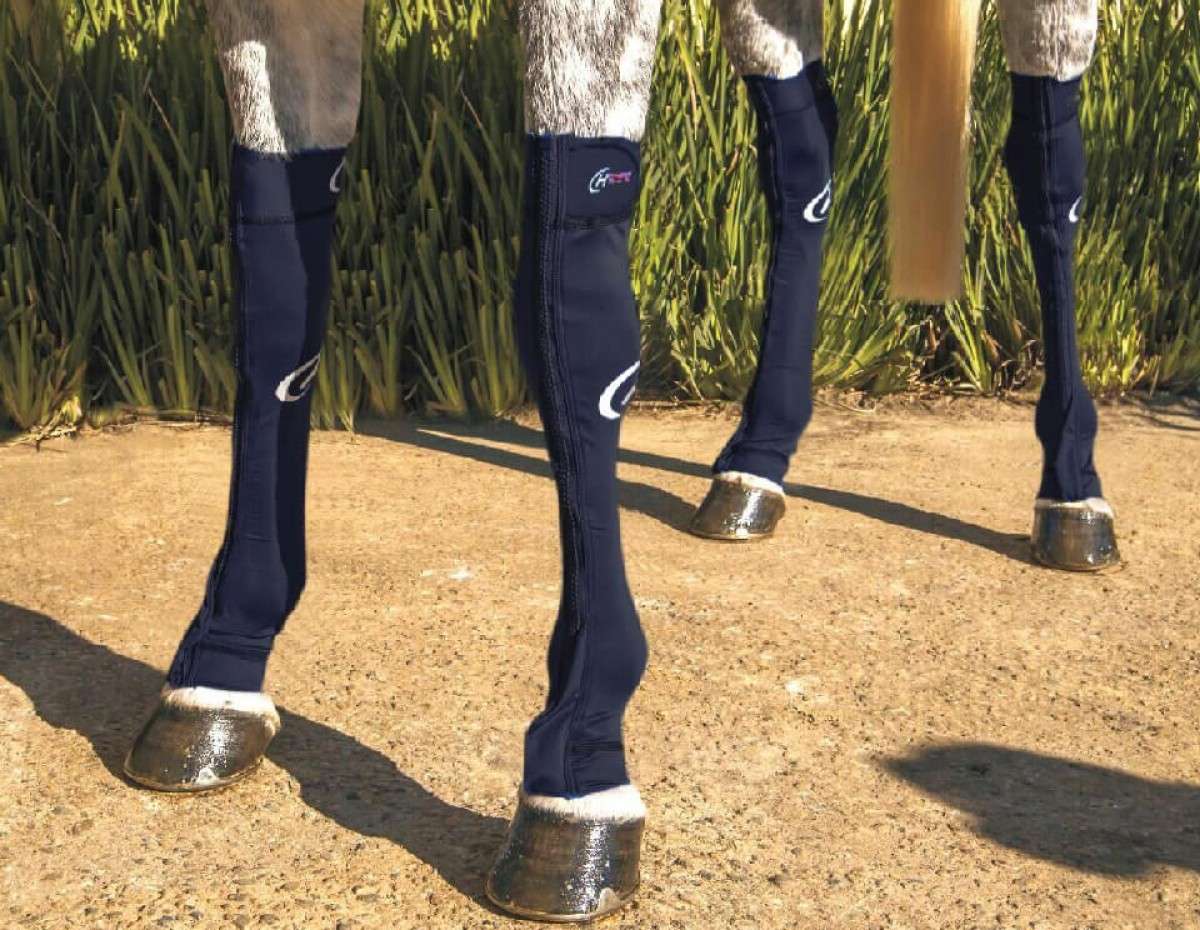 ice compression socks | Proactive Animal Health